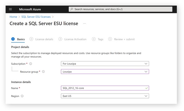 Physical-core (p-core) licenses - LicenseVerse