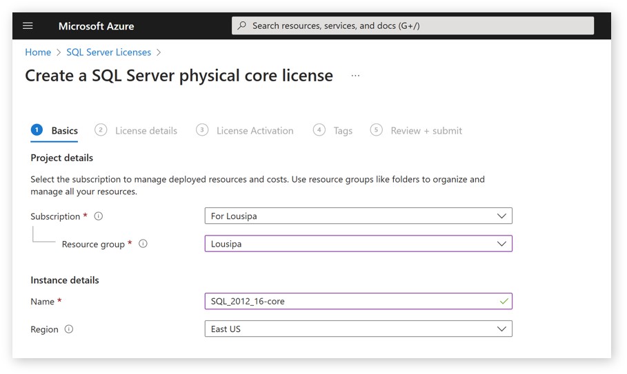 Physical-core (p-core) licenses - LicenseVerse