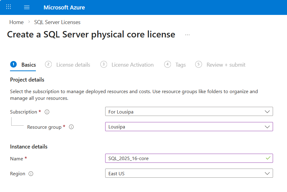 Physical-core (p-core) licenses - LicenseVerse
